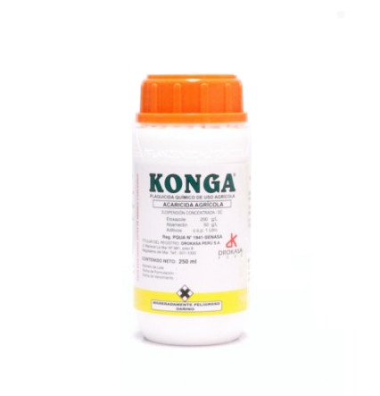 KONGA – FORTE VERDE